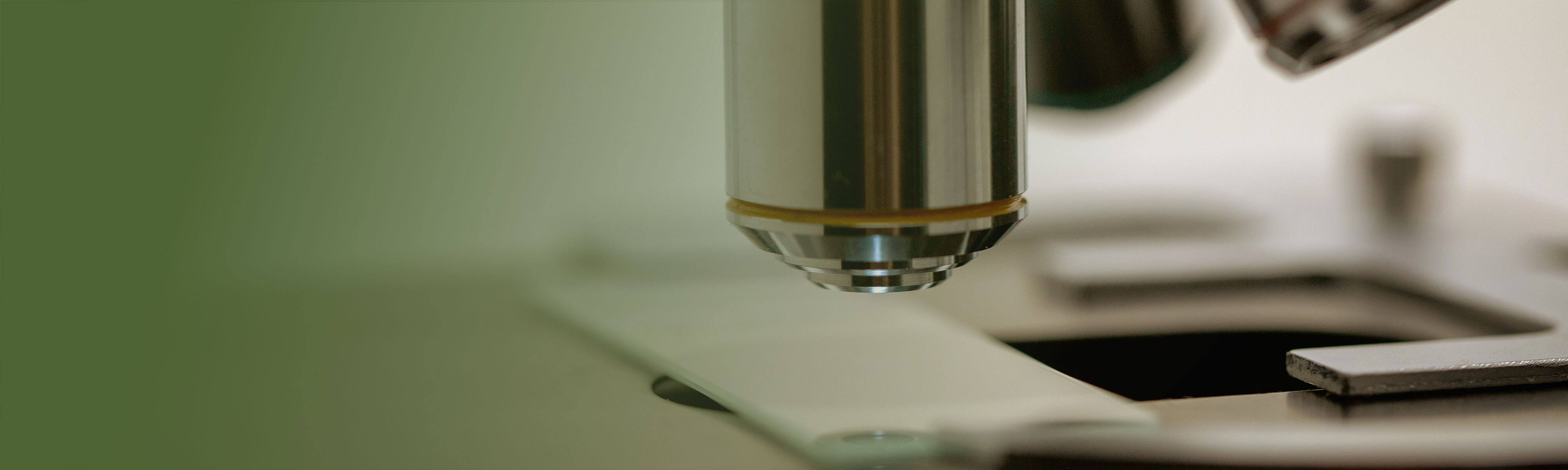 The Science Behind Renewing GERD Treatment | Cinclus Pharma